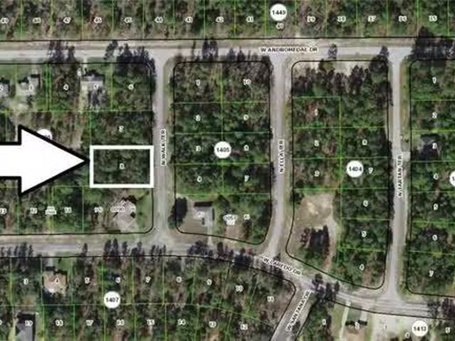 10943 N WALK TER, DUNNELLON, FL 34433 Vacant Land For Sale ML.