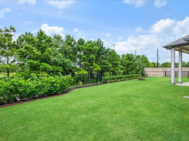10947 Water Hyssop Lane