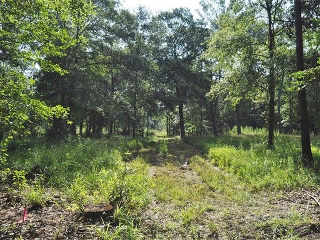 10955 Daw Collins Rd, Splendora, TX 77372 | MLS #11331 | Compass