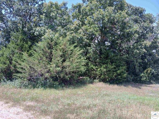 1095 NW Yy Hwy, Osceola, MO 64776
