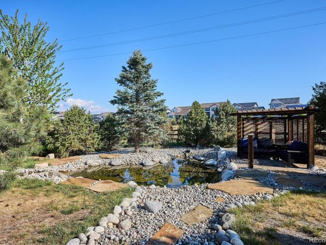 10973 Roxborough Park Road