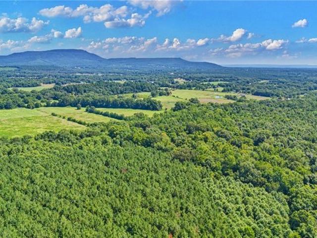 10972A Cowger Ln, Dardanelle, AR 72834