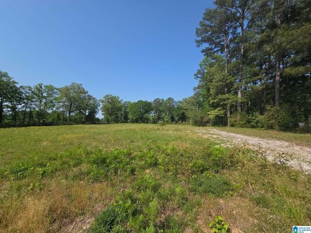 10997 Vance Blockton Road #