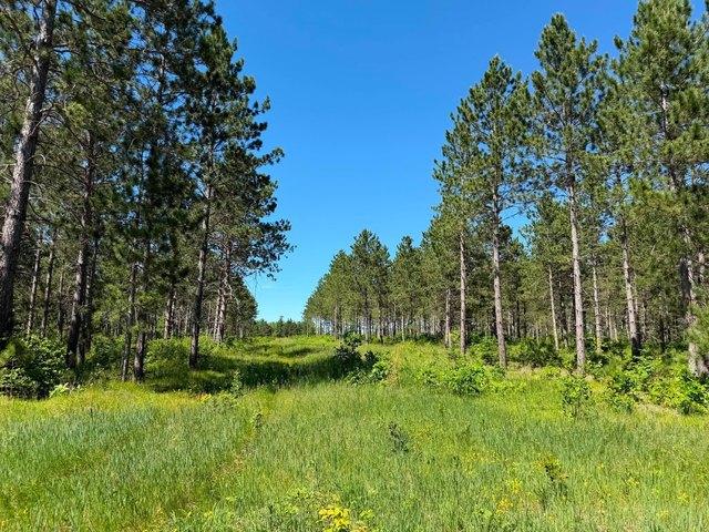 10998 Grange Rd NW, Bemidji, MN 56601