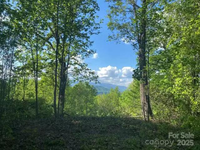 1099 Mitchell View Dr #915/915A, Old Fort, NC 28762 MLS 4242.