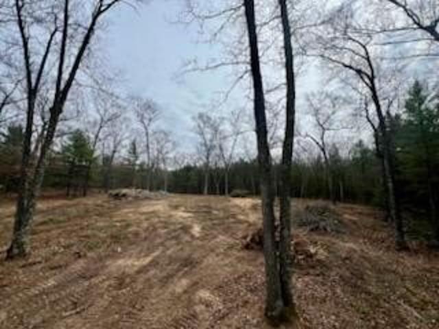 1099 Chicago Dr Lot 20, Whitehall, MI 49461