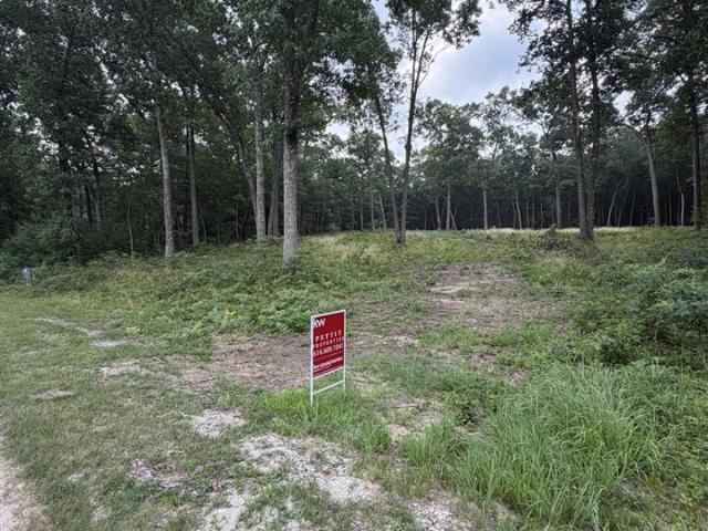 1099 Chicago Drive # Lot 20