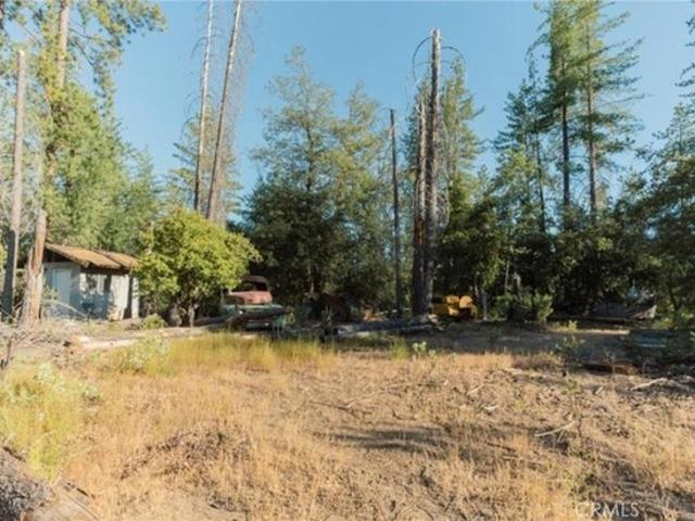 10902 Stout Ln, Coulterville, CA 95311