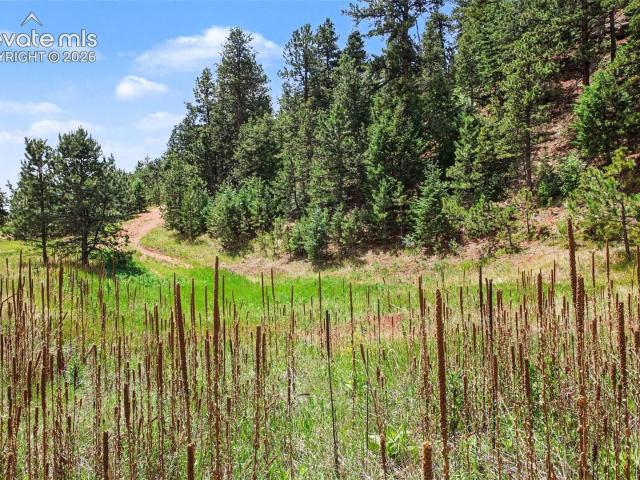 10905 W Highway 24