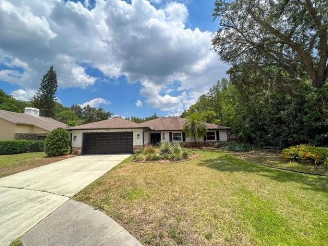 10909 Autumn Oak Pl, Tampa, FL 33618
