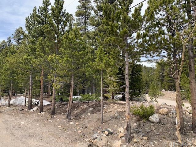 1090 Alice Rd, Idaho Springs, CO 80452 | MLS #5619