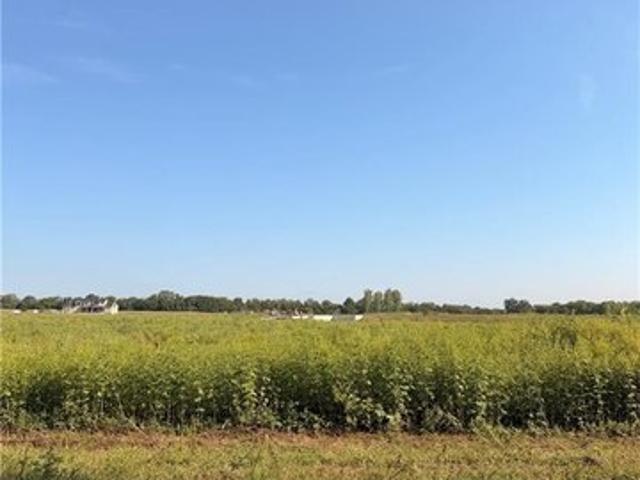 1090 Creekside Ranch Ct, Raymore, MO 64083