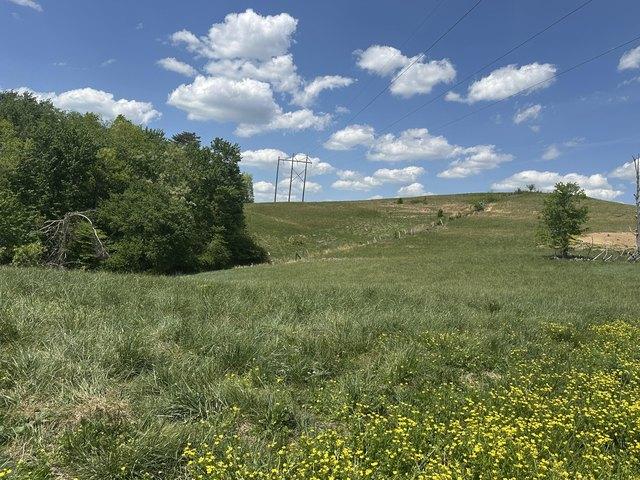 1090 Pittsburg Lndg Unit TRACT30, London, KY 40741
