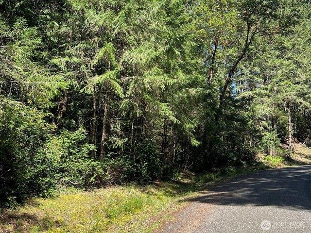 10919 Suncrest Dr, Anderson Island, WA 98303