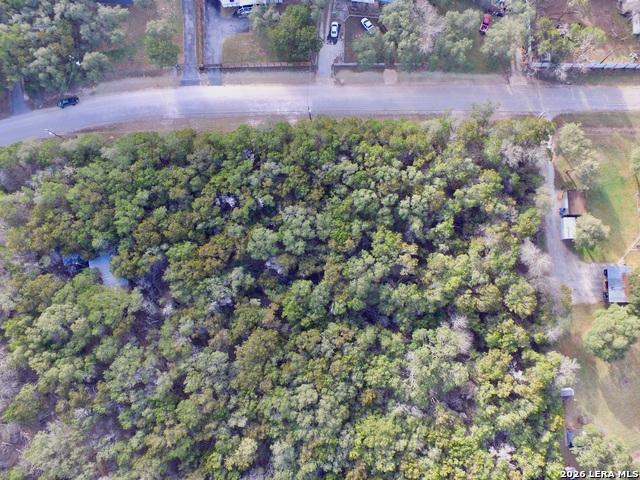 1091 Hillside Oaks