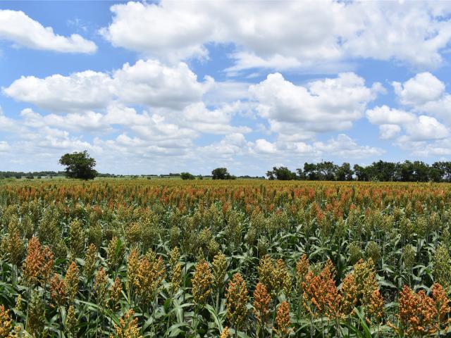 109 County Road 109, Buckholts, TX 76518 | MLS #3891