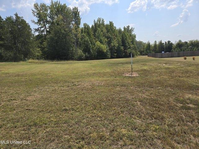 109 Carolina Cir Lot 85, Senatobia, MS 38668