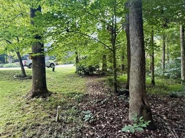 109 Aberdeen, Williamsburg, VA 23188