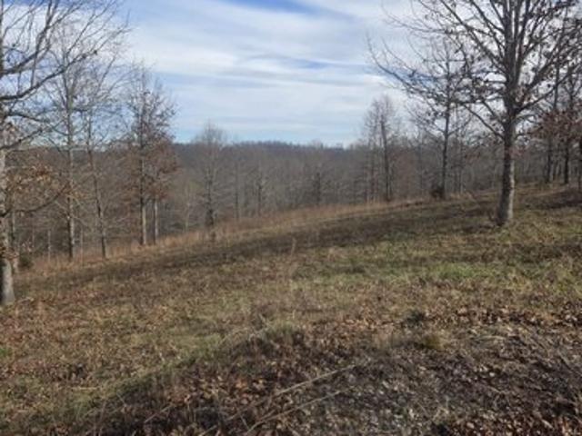 109 Bob White Ct, Mountain View, AR 72560
