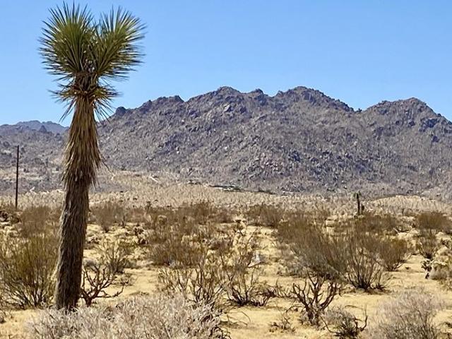 109 Border Ave, Joshua Tree, CA 92252