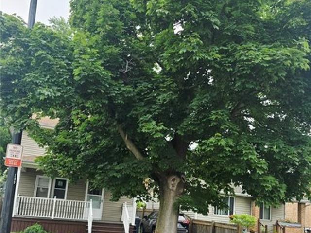 109 Beech St, Buffalo, NY 14218