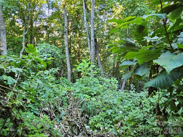 109 Big Ridge Road # 109