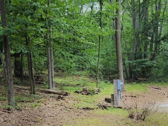 109 Bluff Rd
