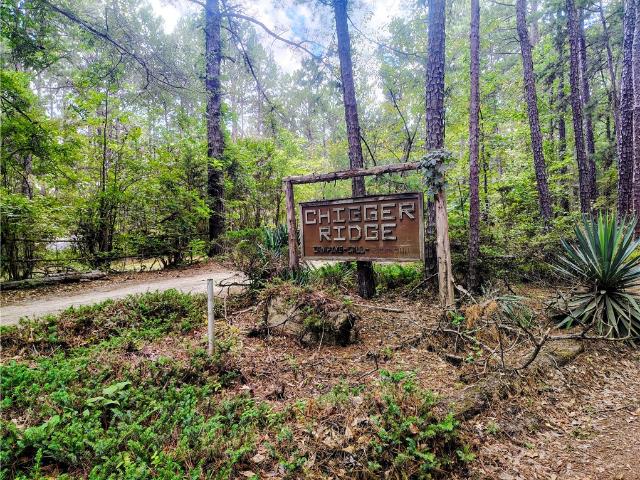109 Briar Thicket Lane