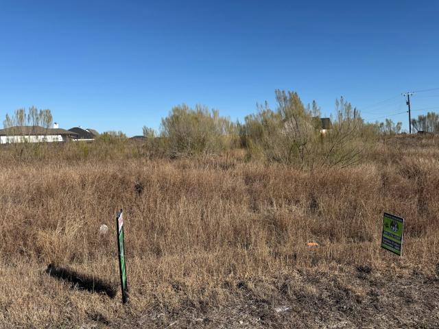 109 Desperado Loop, Del Valle, TX 78617 | MLS #8006 | Compass