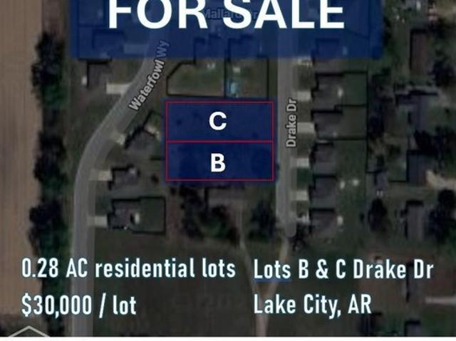 109 Drake Dr, Lake City, AR 72437