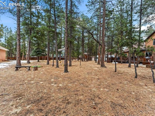 109 Flagstick Dr, Woodland Park, CO 80863 | MLS #1804 | Compass