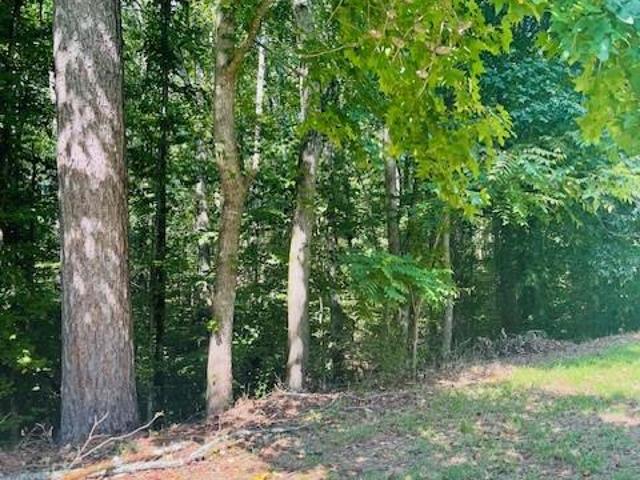 109 Hawks Ct, Ball Ground, GA 30107 | MLS #7718 | Compass
