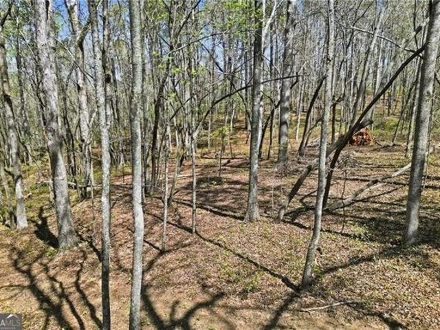 109 Heritage Plantation Dr, Ball Ground, GA 30107