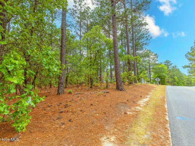 109 Longleaf Drive # 5455