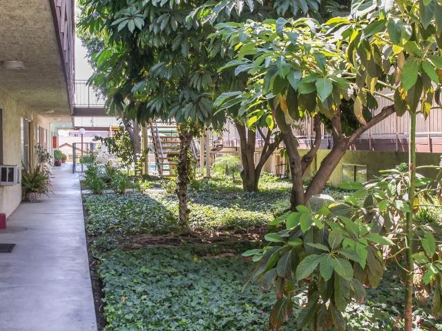 109 Studio Apartment for Rent at FIG TREE, Los Angeles, CA 90248 Harbor Gateway North