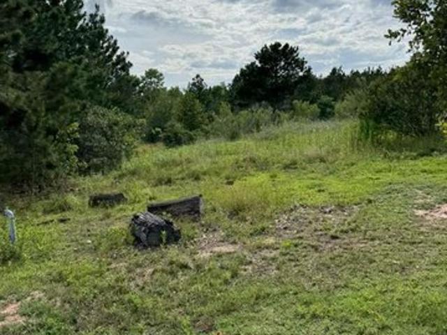 109 Pintail Ln, Paige, TX 78659