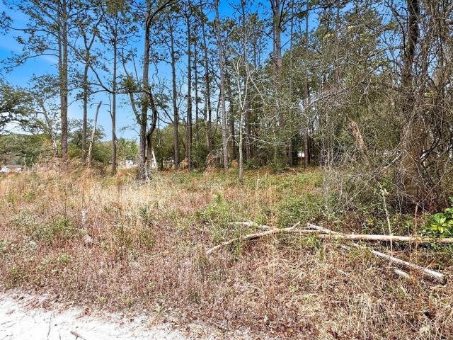 109 Yaupon Dr Exd # 82
