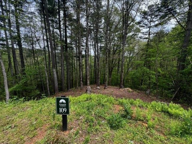 109R Red Oak Trl, Ellijay, GA 30540