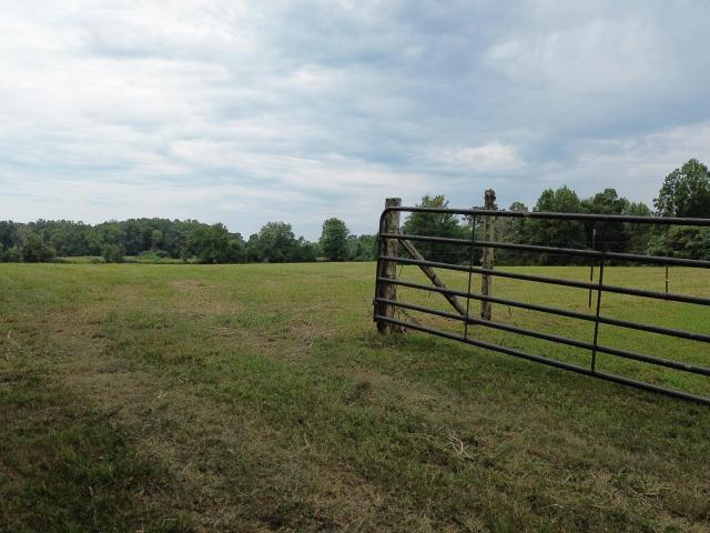 10.4 acres Allen Schoolhouse Road