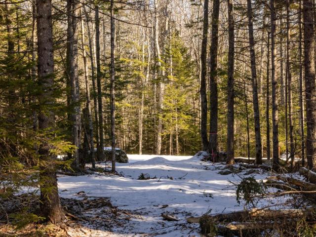 10 4M Forest Hill, Surry, US, ME