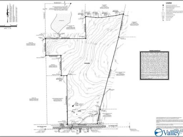 10.50 ACRES WILLINGHAM STREET NW, RAINSVILLE, AL 35986