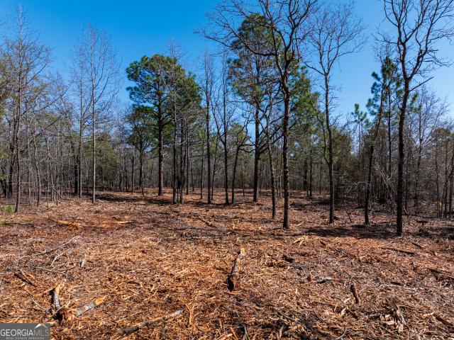 10.51 ACRES River Road LOT #2