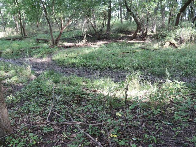 10.54 acres County Road D, Fall River, WI 53932 | MLS #2008