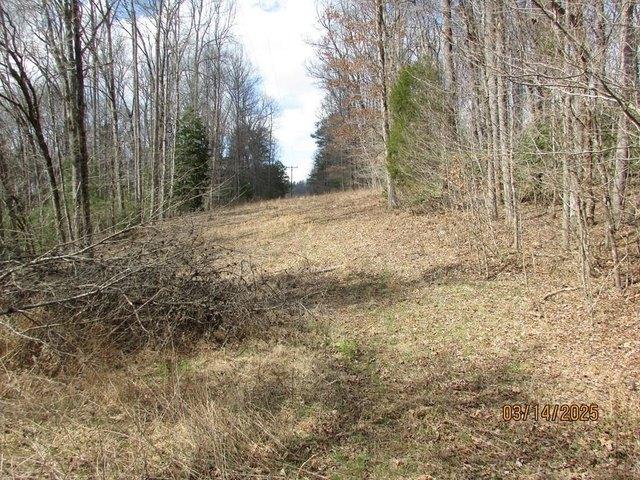 10.5 Ac Phillips Rd, Young Harris, GA 30582