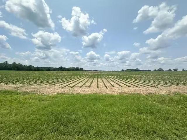 10.5 ACRES LOT2 J SAUNDERS, DOTHAN, AL 36305
