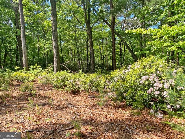 10.5ac Jack Walker Road