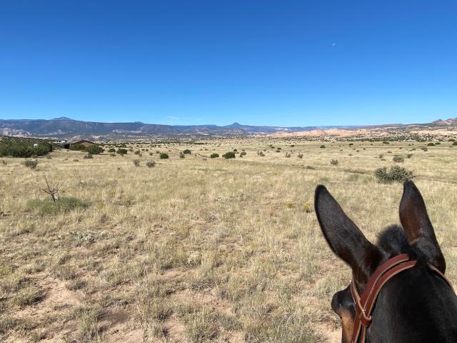 10.75 acres Pinon Rd