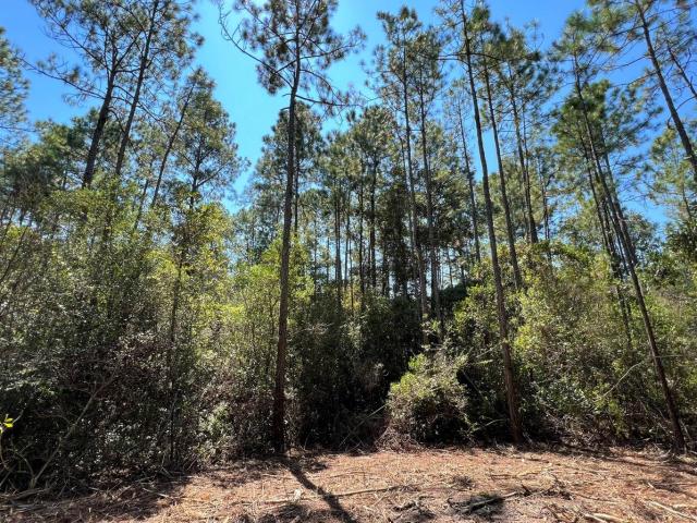 10.7 acres Juniper Lake Rd, DeFuniak Springs, FL 32433 | MLS #1007