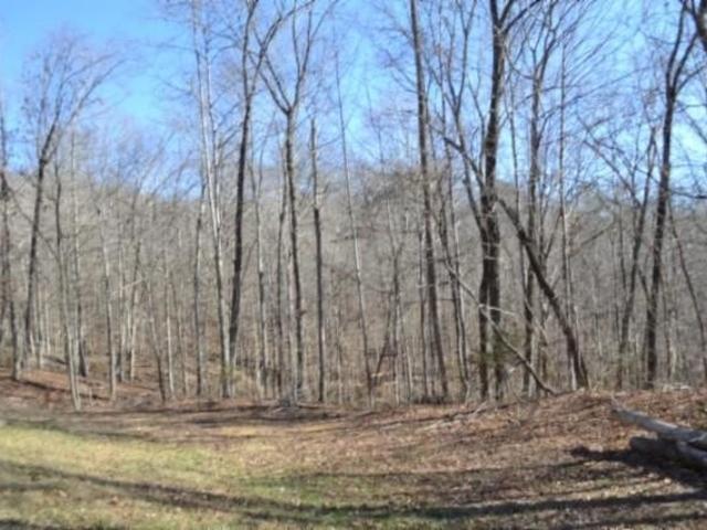 10 85AC Cheyenne Dr Lot 12 13, Jamestown, TN 38556