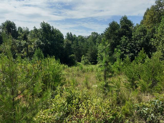 10.8 AC Cody Road
